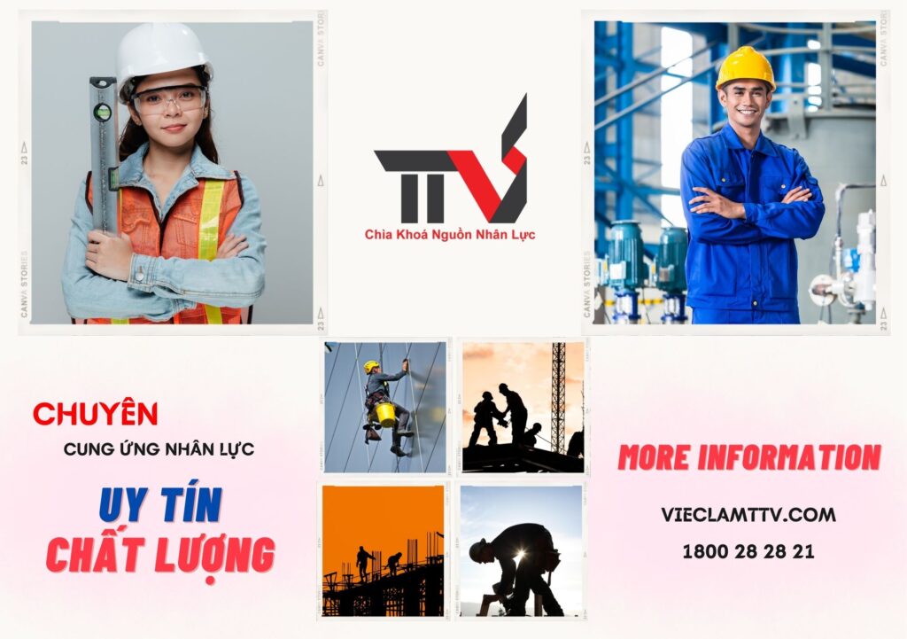 Cung Ứng Lao Động Thời Vụ Uy Tín Tại TTV Group 2023