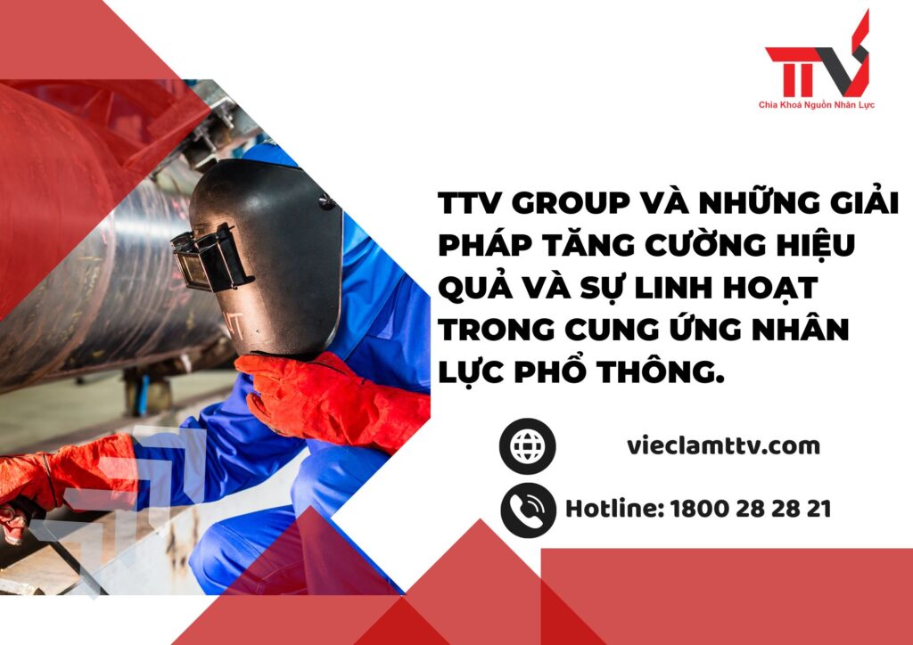 TTV Group và hiệu quả trong cung ứng nhân lực phổ thông 2024